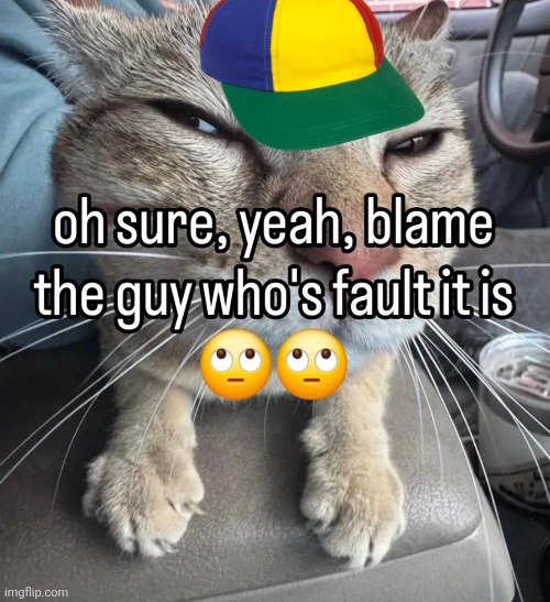 Cats love making you worry, that's a fact.