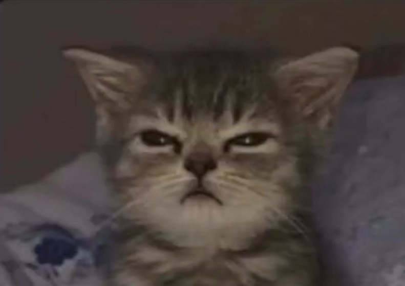 merciful knowledgeable giant