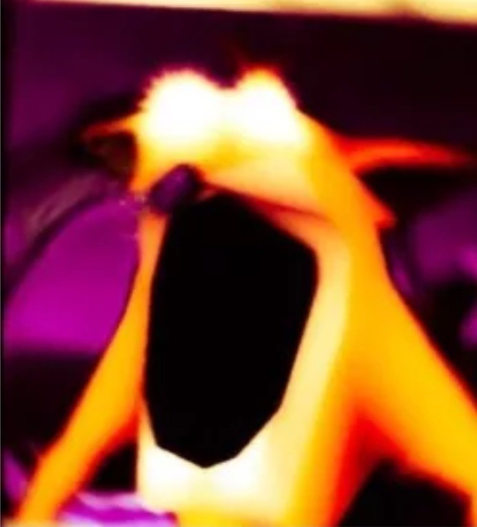 nifty defective complicated