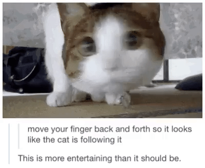Have fun with this one