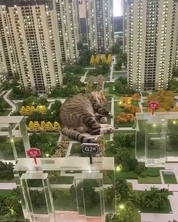 Catzilla