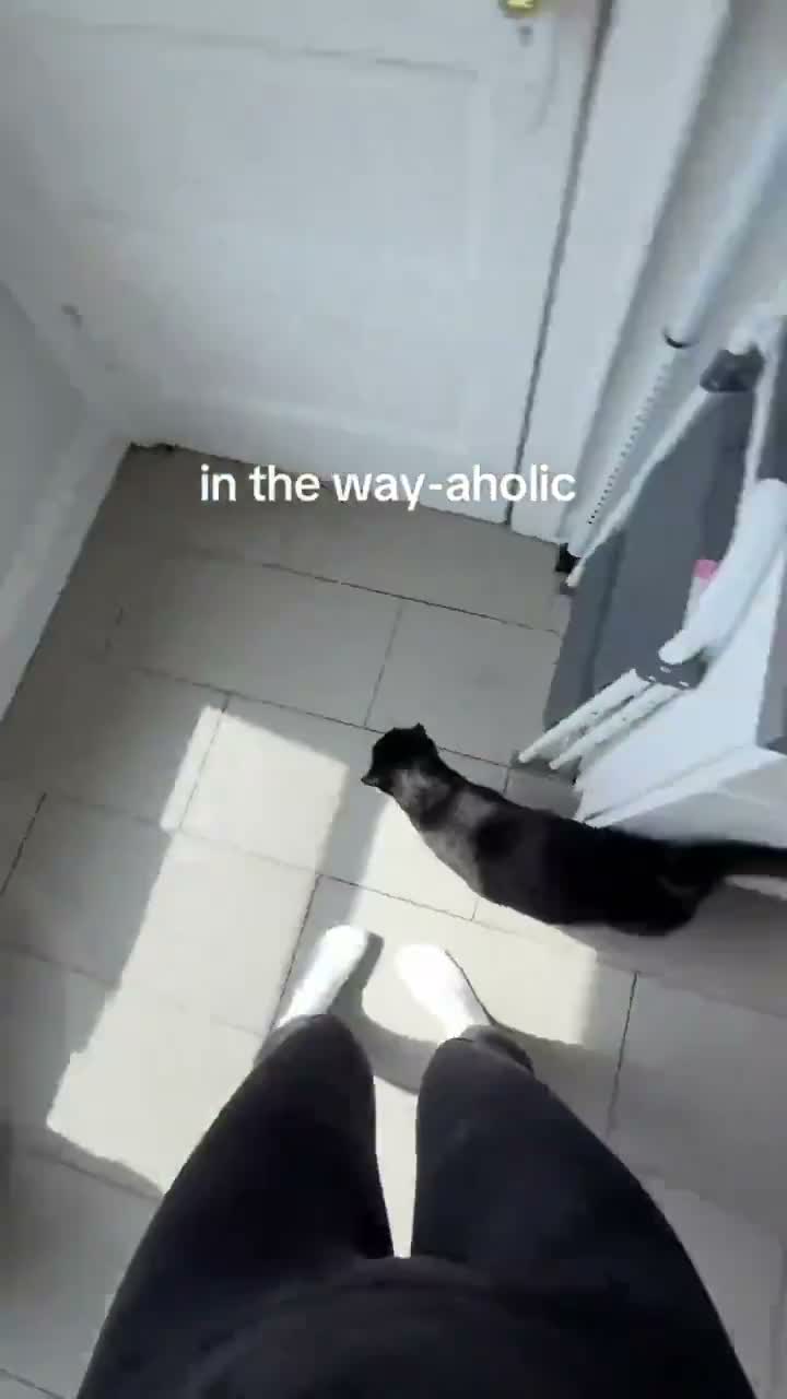 Always in the way