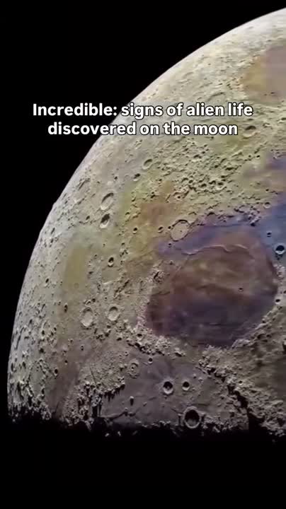 newly released alien footage wtffffff