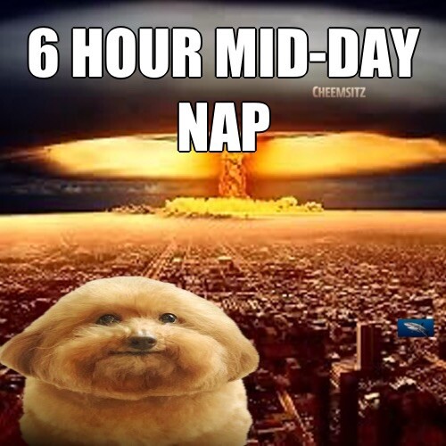 me irl rn ngl