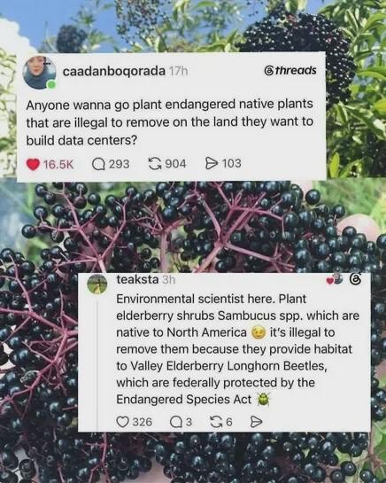 They will just remove them. - #271516318 added by drdenz at The ...