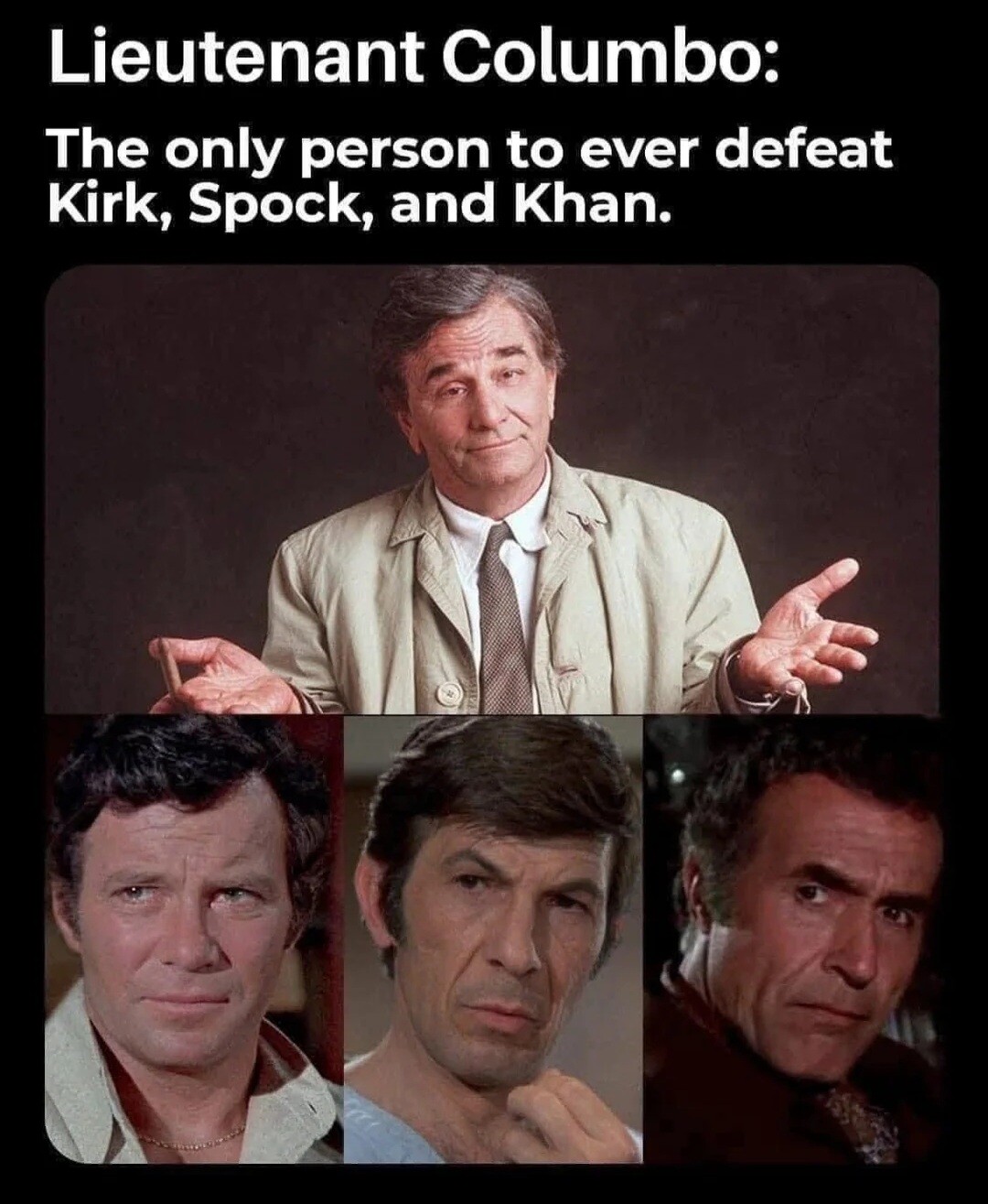 undisturbed squeamish rambunctious